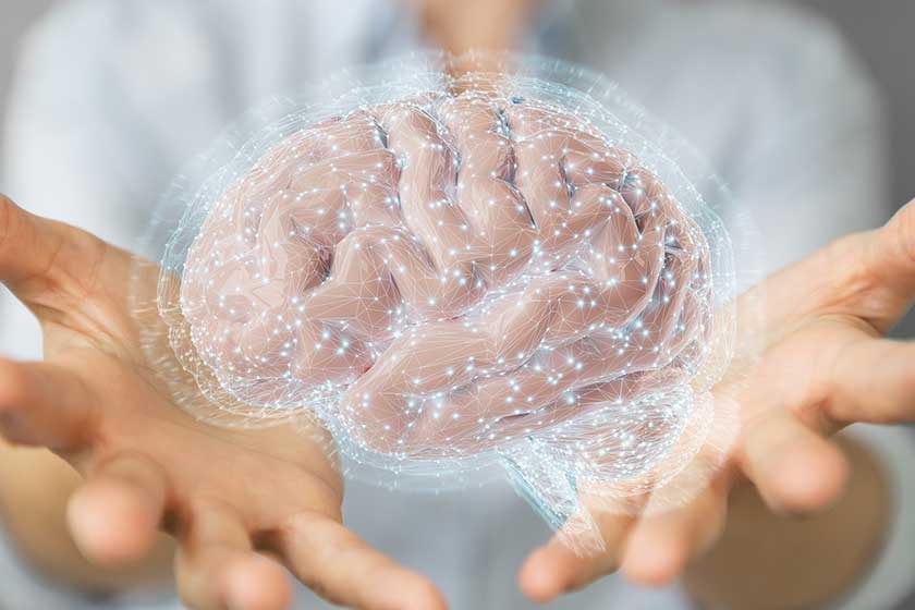 What Makes SHINE Memory Care In Sarasota, FL So Special | Discovery ...