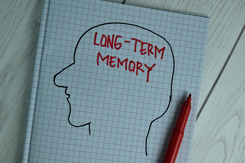 Short Term Memory Loss In Your Loved Ones: 5 Things You Should Know ...